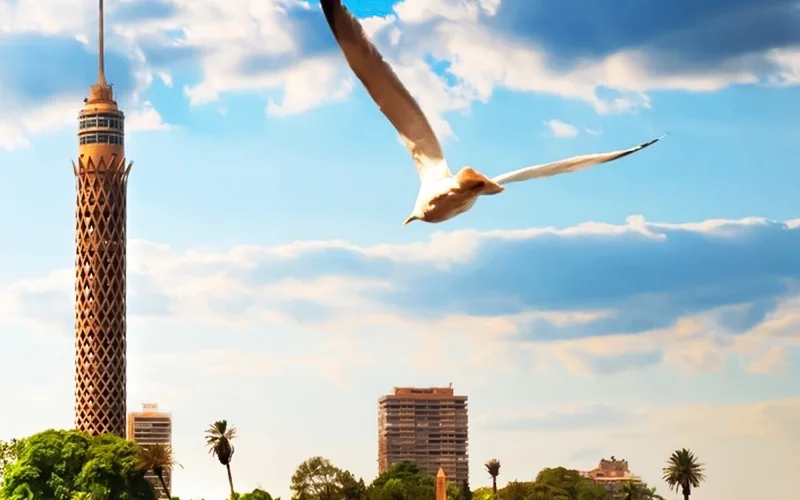 Giza Pyramids, Memphis, Dahshur And Sakkara Pyramids And Cairo Tower